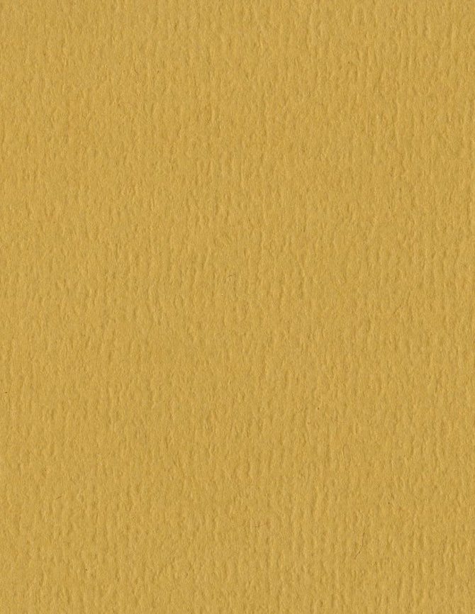 Bazzil Basics Cardstock ORANGEPEEL 8.5x11 Honeycomb